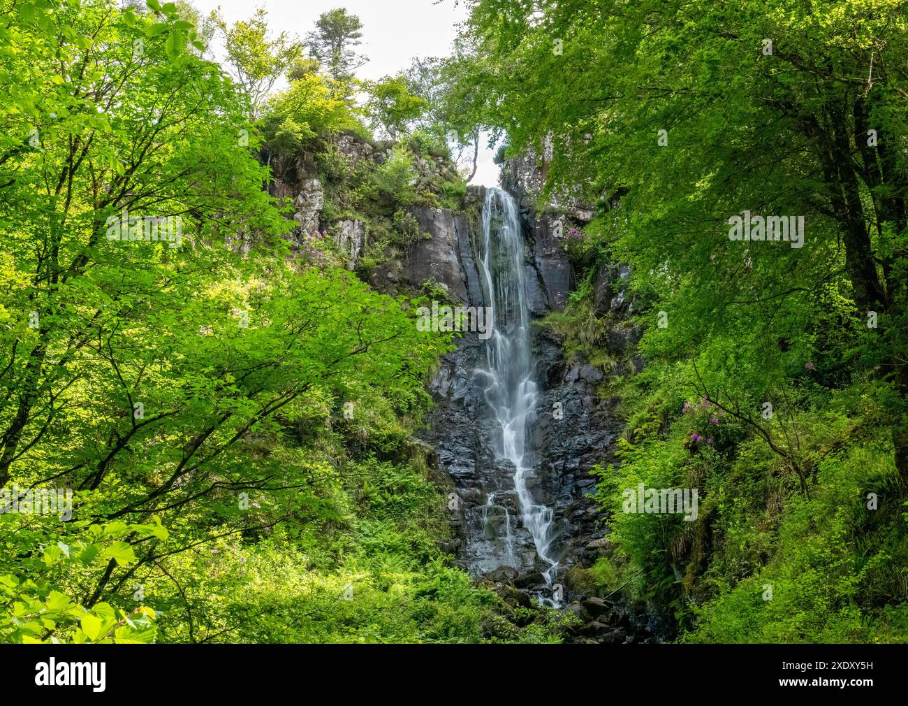 Cascading waterfalls at Aros Park, Isle of Mull Stock Photo - Alamy