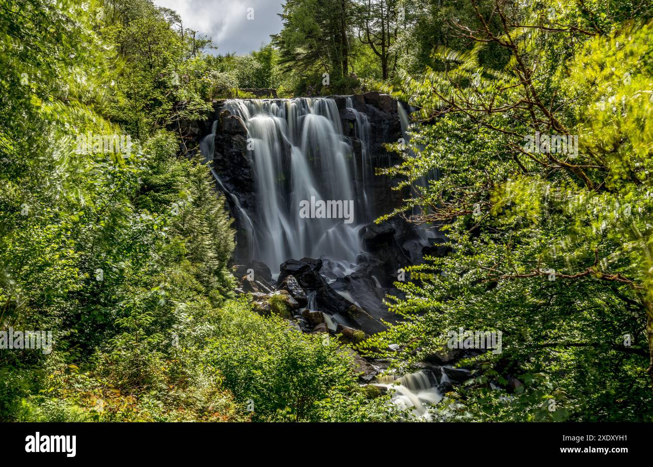 Cascading waterfalls at Aros Park, Isle of Mull Stock Photo - Alamy