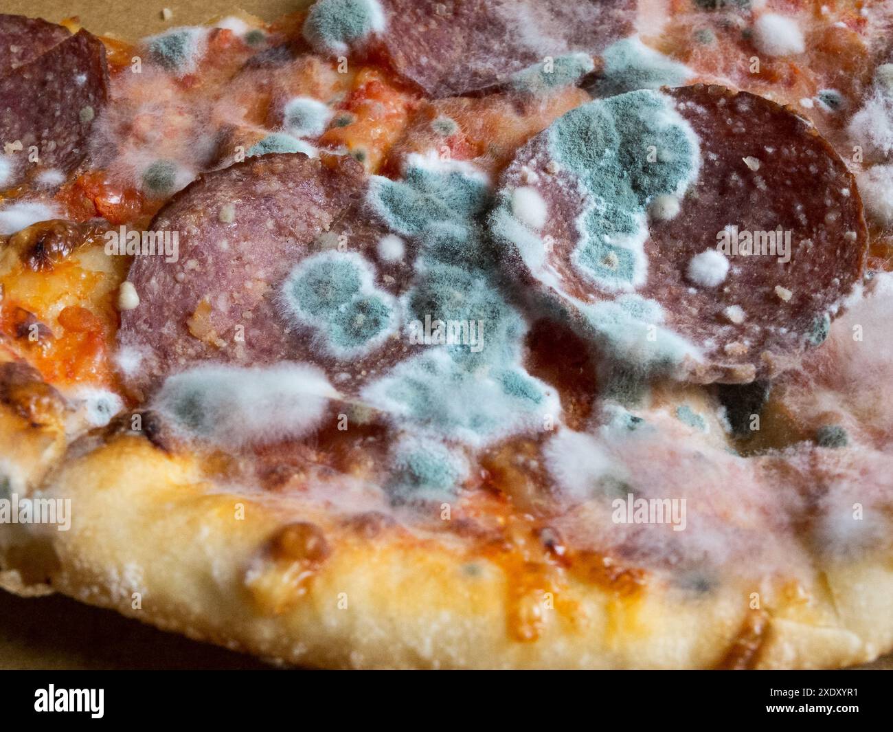Pizza mold hi-res stock photography and images - Alamy