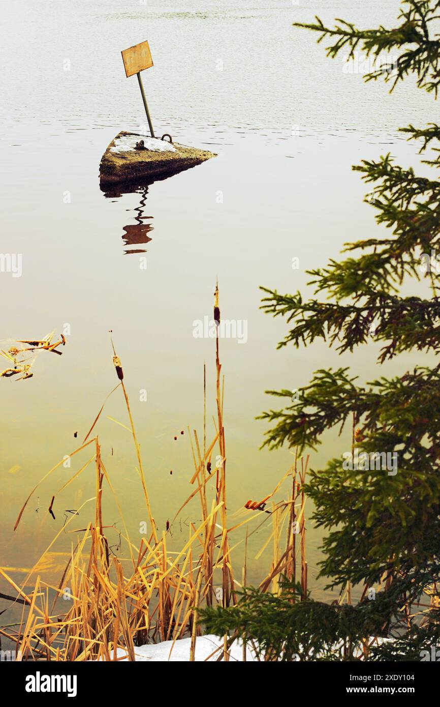 Tree wood reed spring hi-res stock photography and images - Alamy