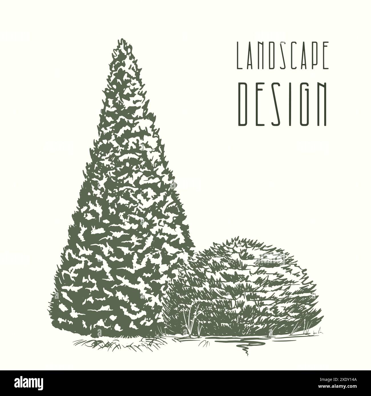 Group of trees. Thuja and spruce small ink graphics. Pictograms of ...