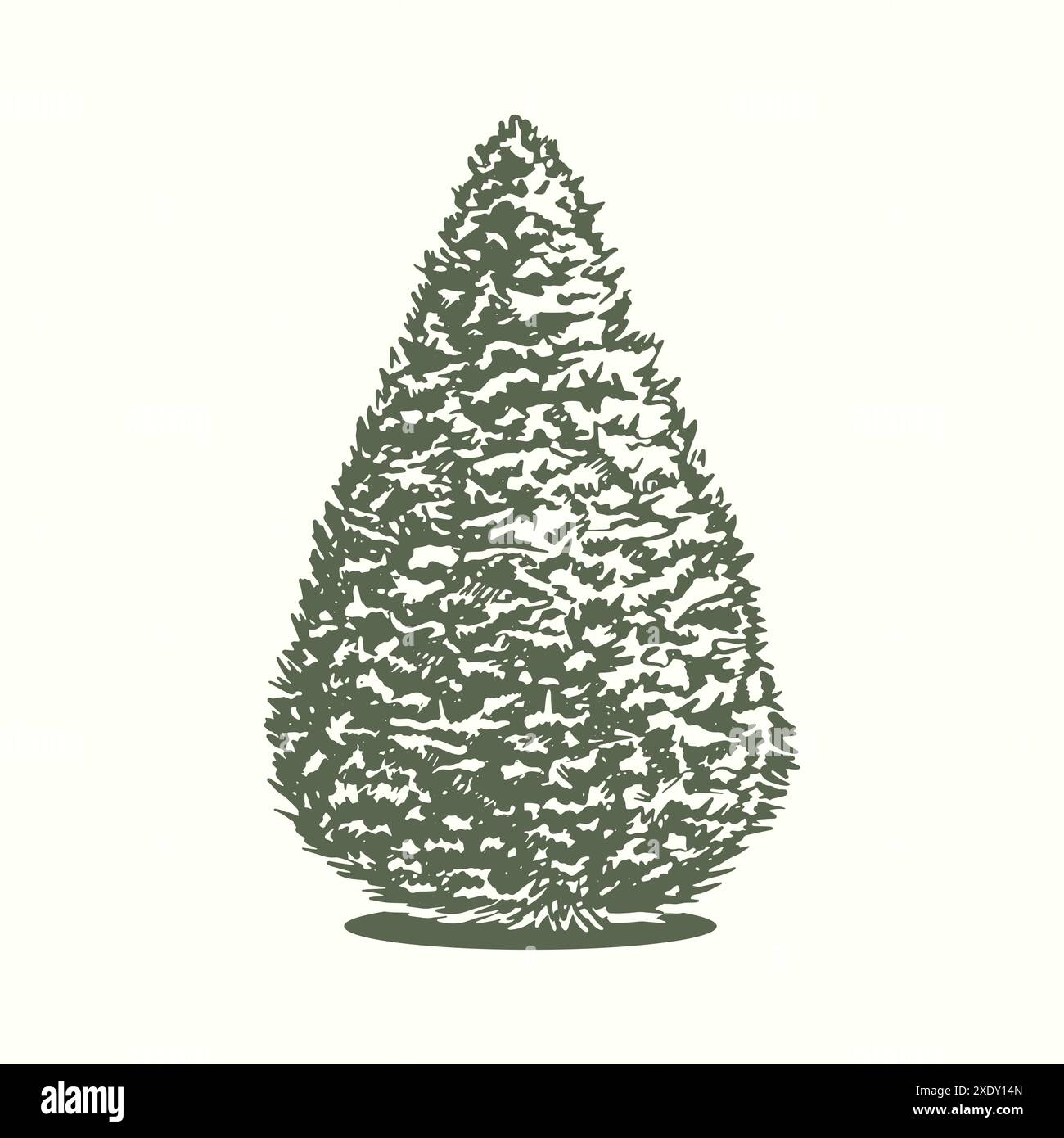 Thuja, small spruce. Graphics, ink. Pictograms of general plans and ...