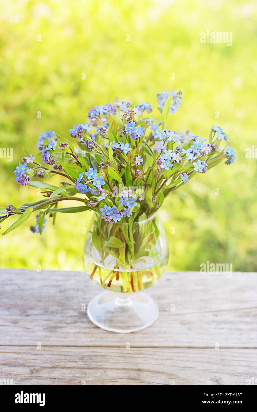 Bouquet of forget-me-nots Stock Photo - Alamy