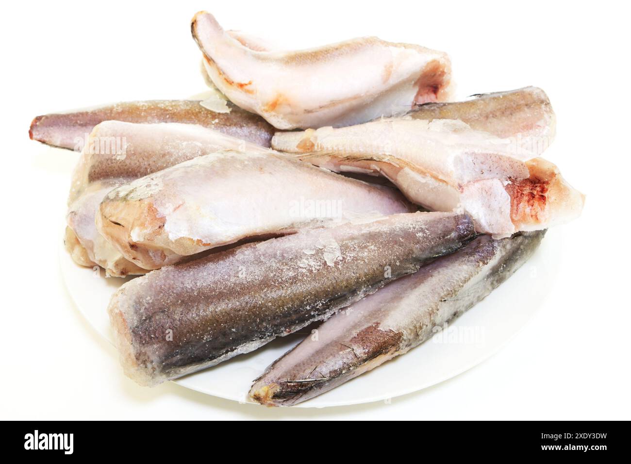 European hake merluccius merluccius hi-res stock photography and images ...