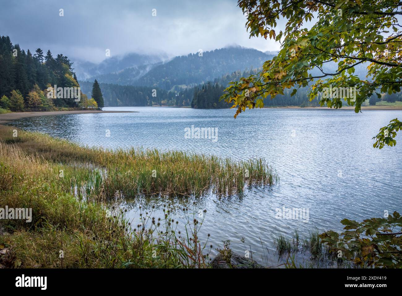 geography / travel, Germany, Bavaria, Spitzingsee on rainy day ...
