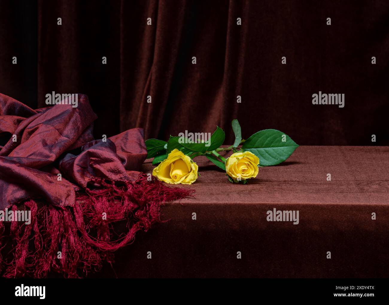 Two yellow roses lie on a dark table. Dark background. Sadness ...