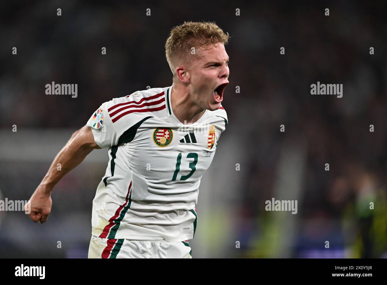 STUTTGART, GERMANY - JUNE 23: Andras Schafer of Hungary celebrates ...