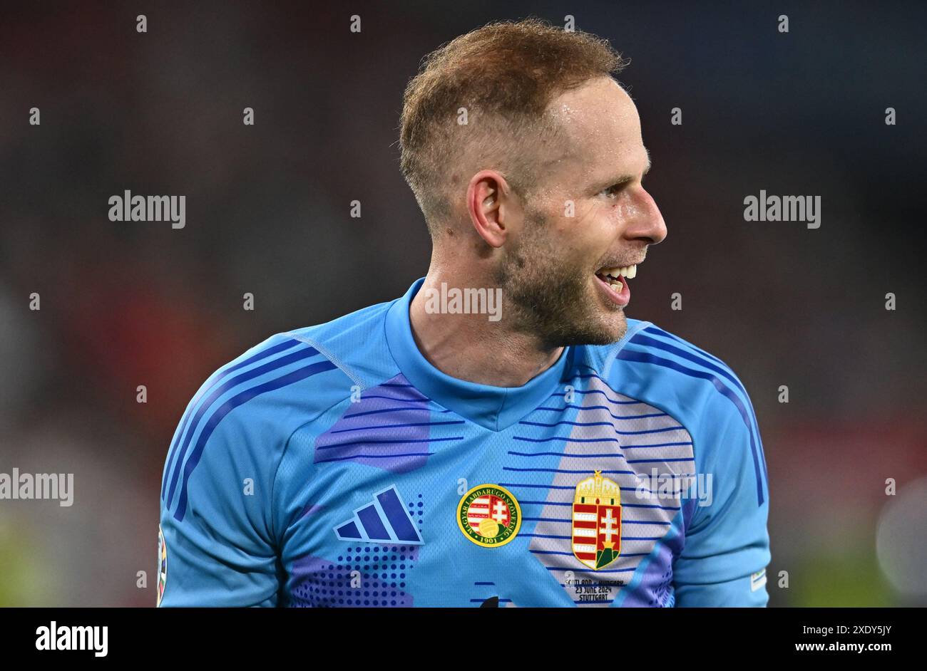 STUTTGART, GERMANY - JUNE 23: Peter Gulacsi of Hungary celebrates ...