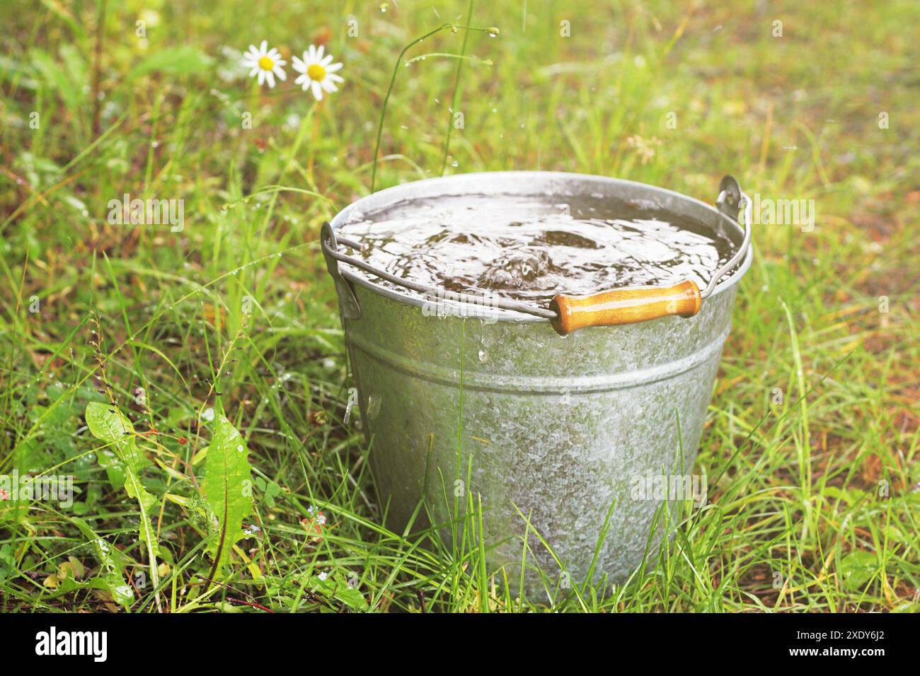 Summer rain. Full bucket of rain water Stock Photo - Alamy
