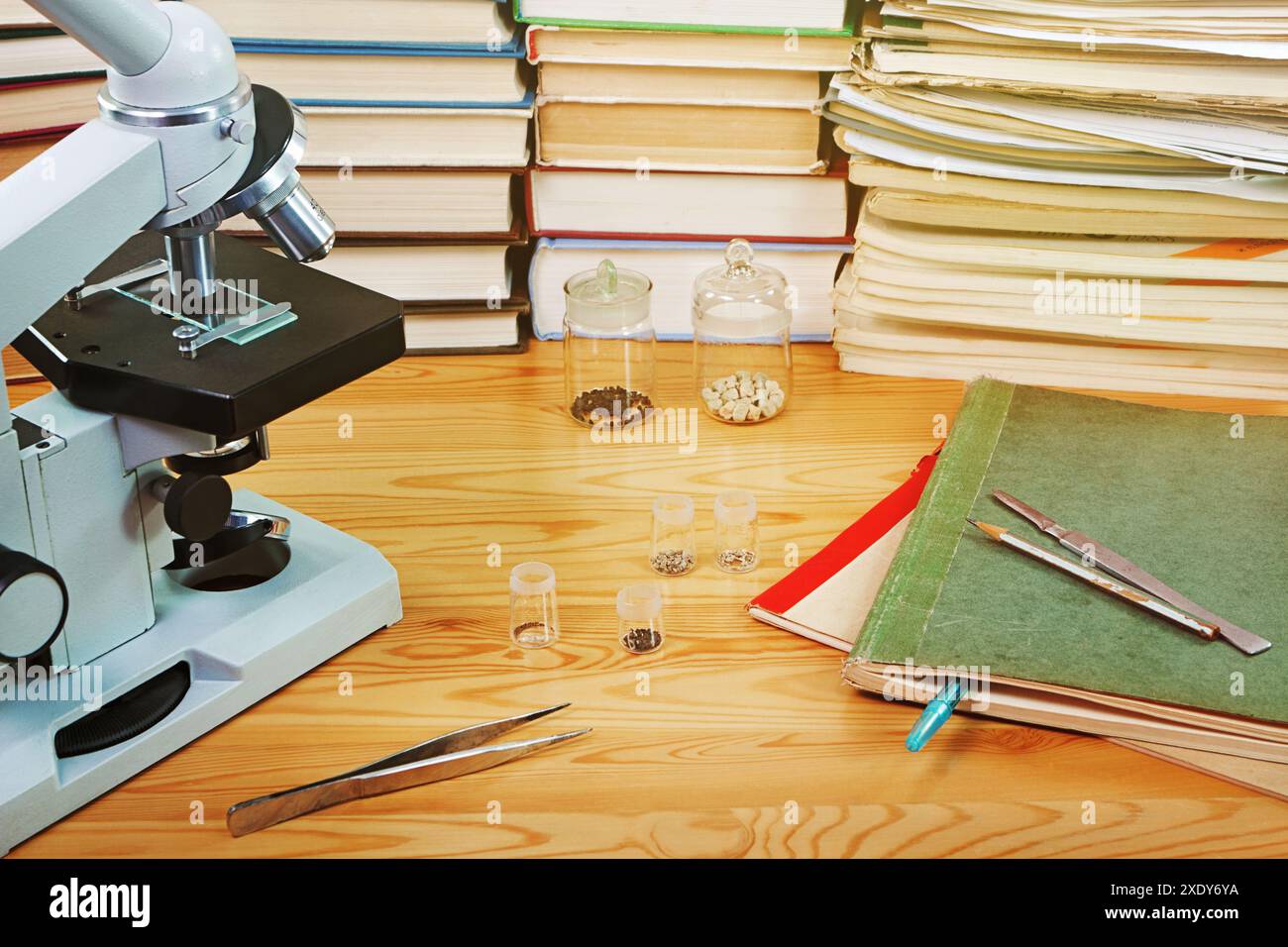 Microscope and test specimens of seed Stock Photo - Alamy