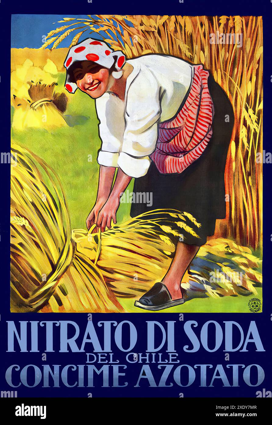 METLICOVITZ Leopoldo - Nitrato di Soda del Chile c - 1910s Vintage ...