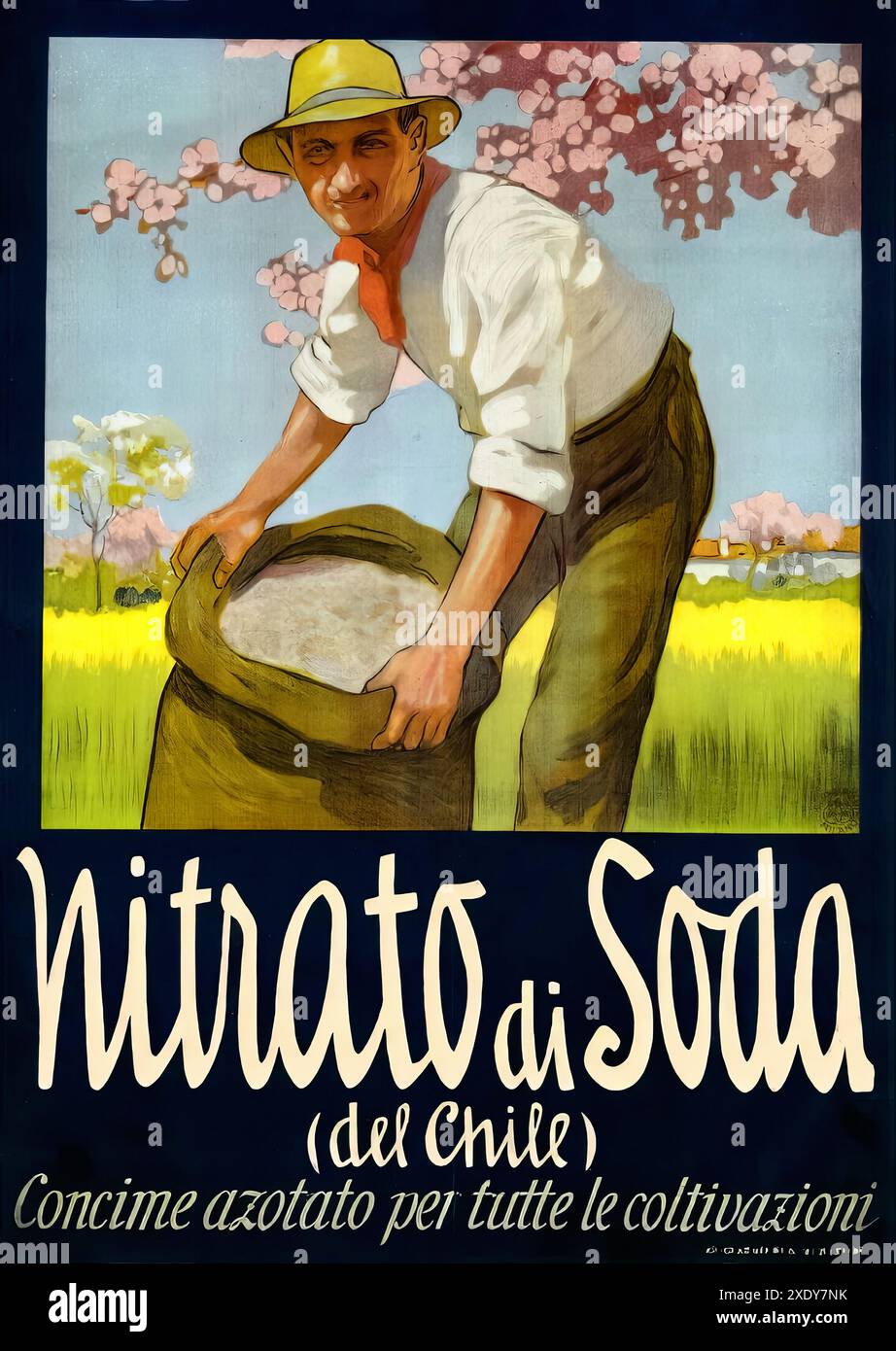 METLICOVITZ Leopoldo - Nitrato di Soda c - 1910s Vintage Italian ...