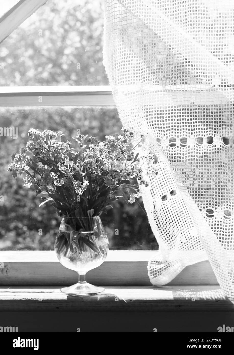 Wild flowers on old Black and White Stock Photos & Images - Alamy