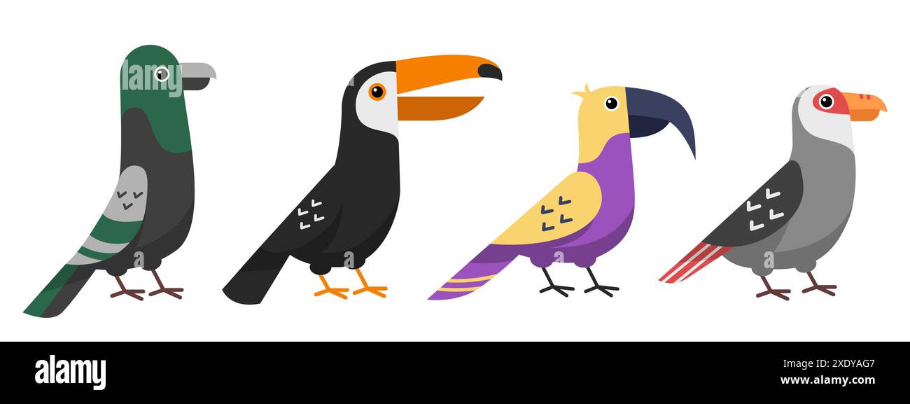 Sets of bird with different species and color. Vector illustration ...