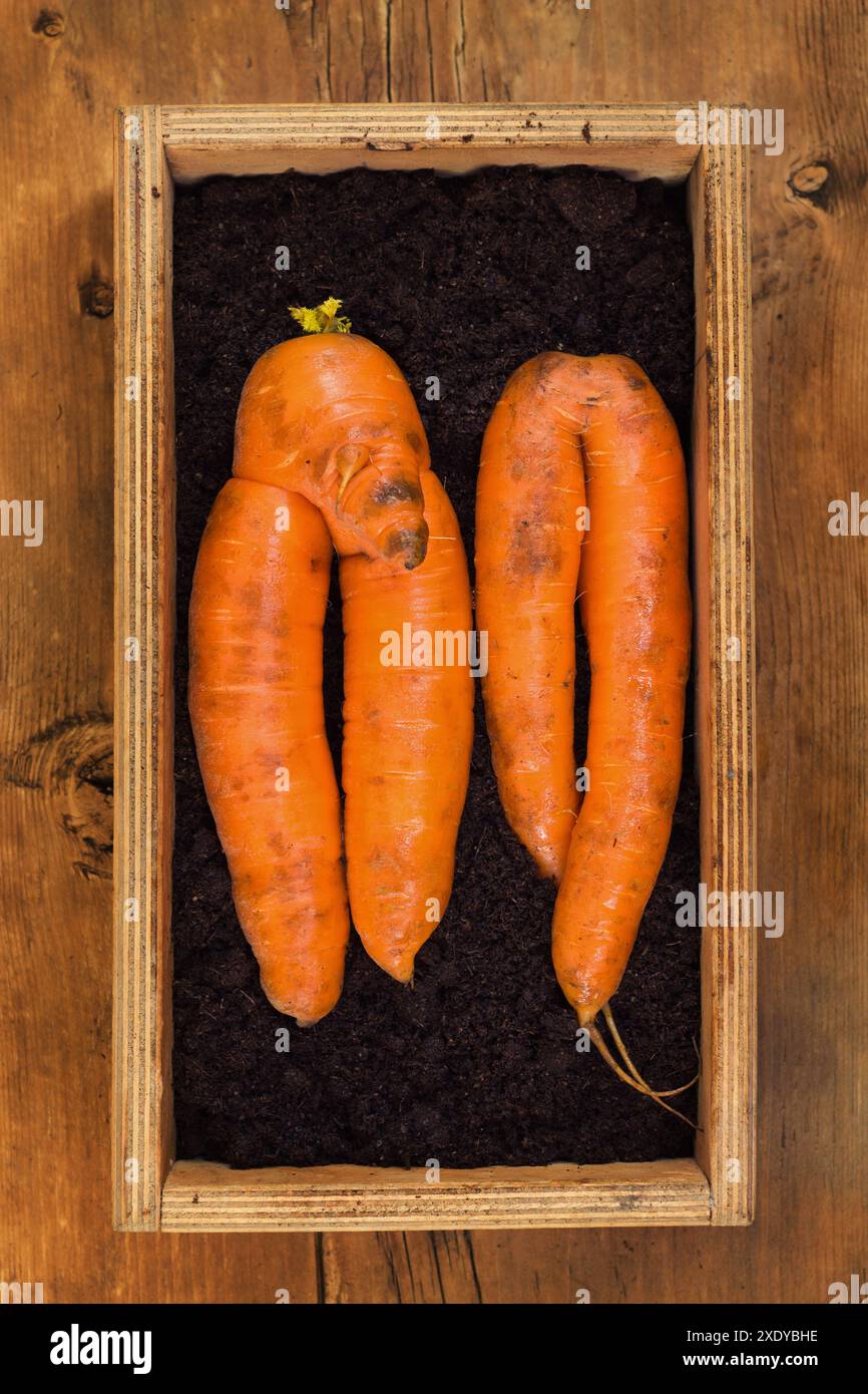 Box of carrots hi-res stock photography and images - Alamy
