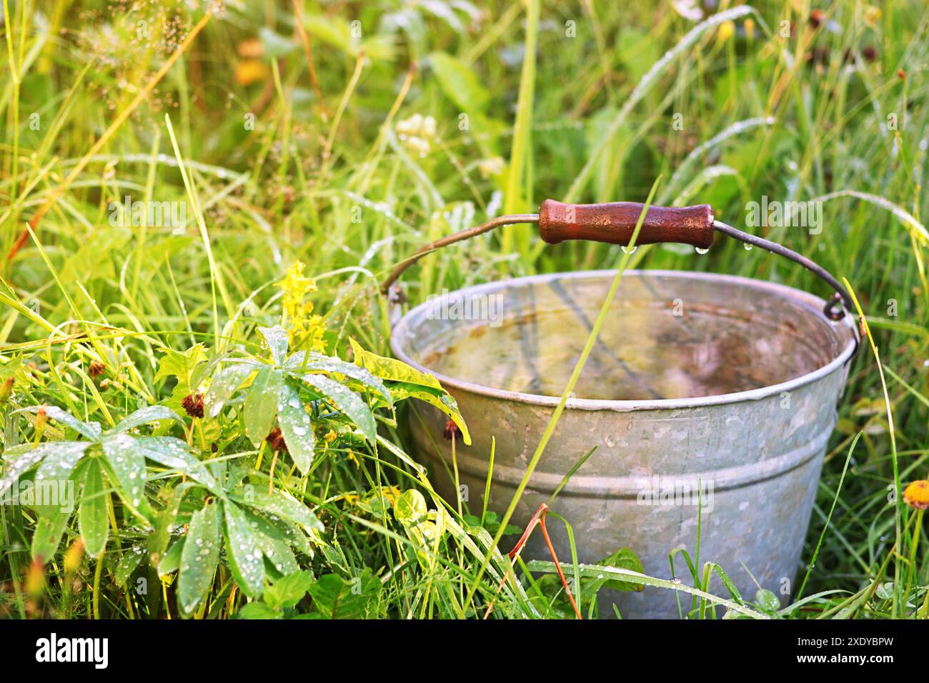 Metallic busket with rain water Stock Photo - Alamy