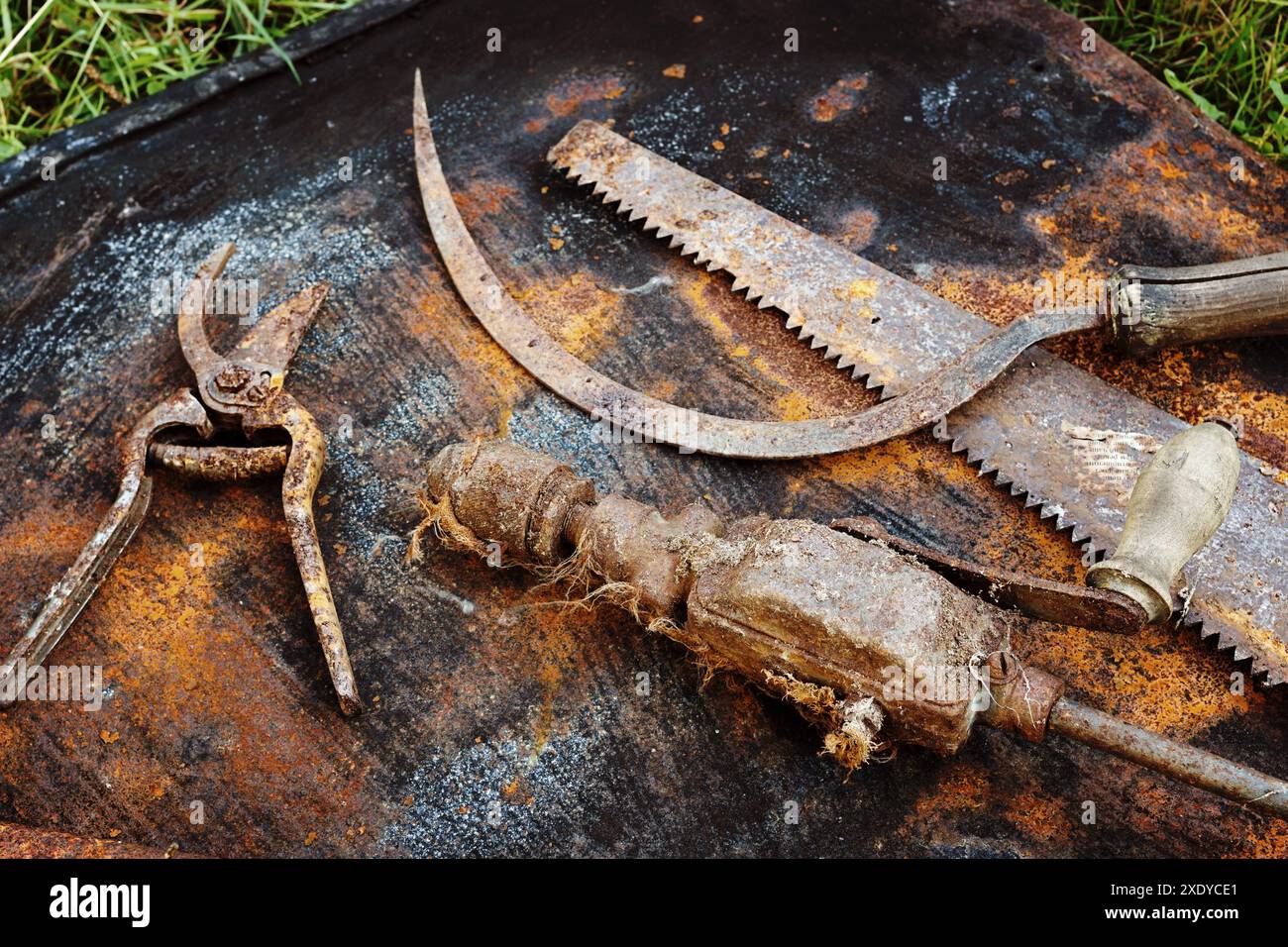 Garden sheet hi-res stock photography and images - Alamy