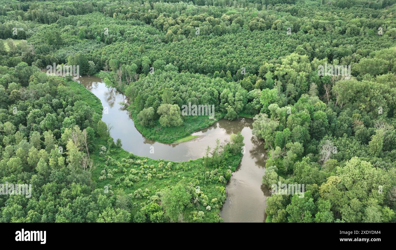 Floodplain river Morava meander drone aerial video shot delta in inland ...