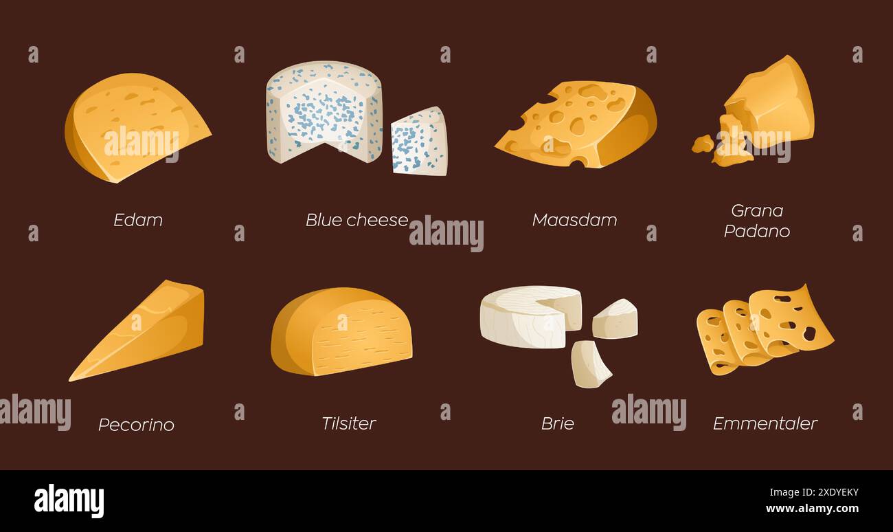 Set of different types of cheeses. Vector illustration with text. Ideal ...