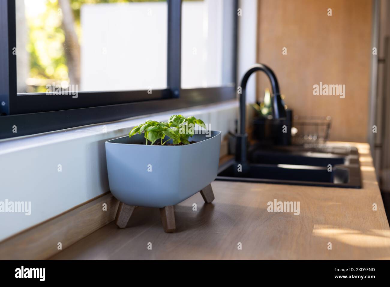 Modern kitchen with potted plant on countertop near sink and window ...
