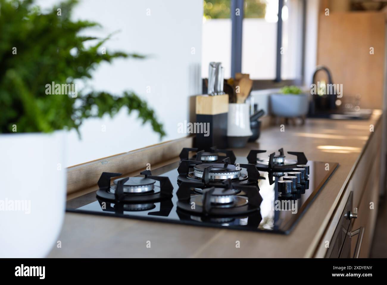 Modern kitchen with gas stove and knife set on countertop, bright and ...