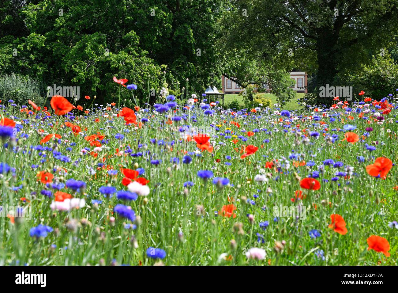 Prinzemilgarten hi-res stock photography and images - Alamy