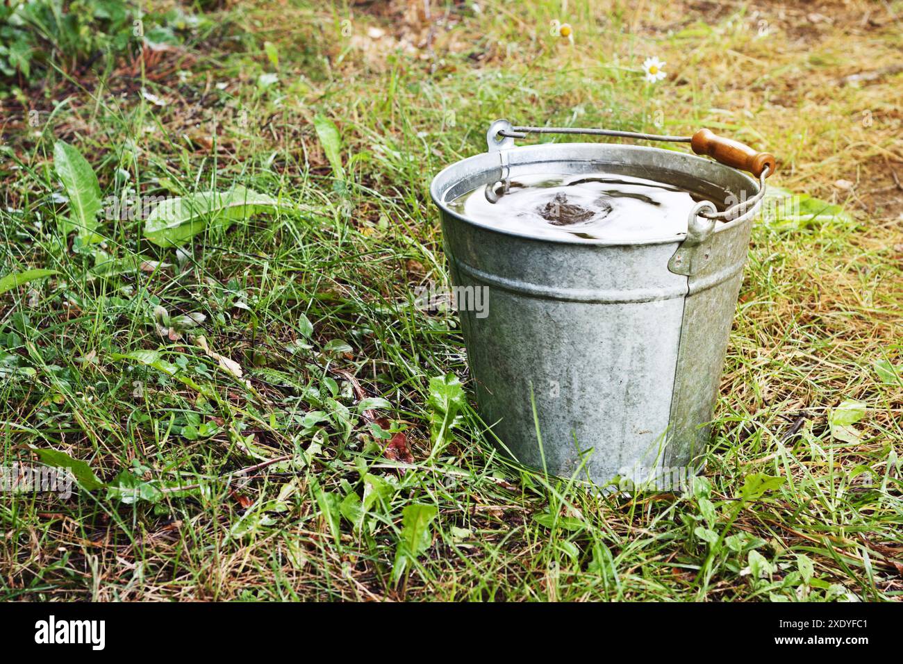 Bucket with rain water Stock Photo - Alamy