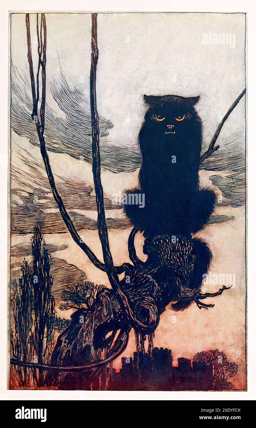 RACKHAM Arthur (1867-1939) - Black Cat Hansel & Gretel 1920 - Vintage ...