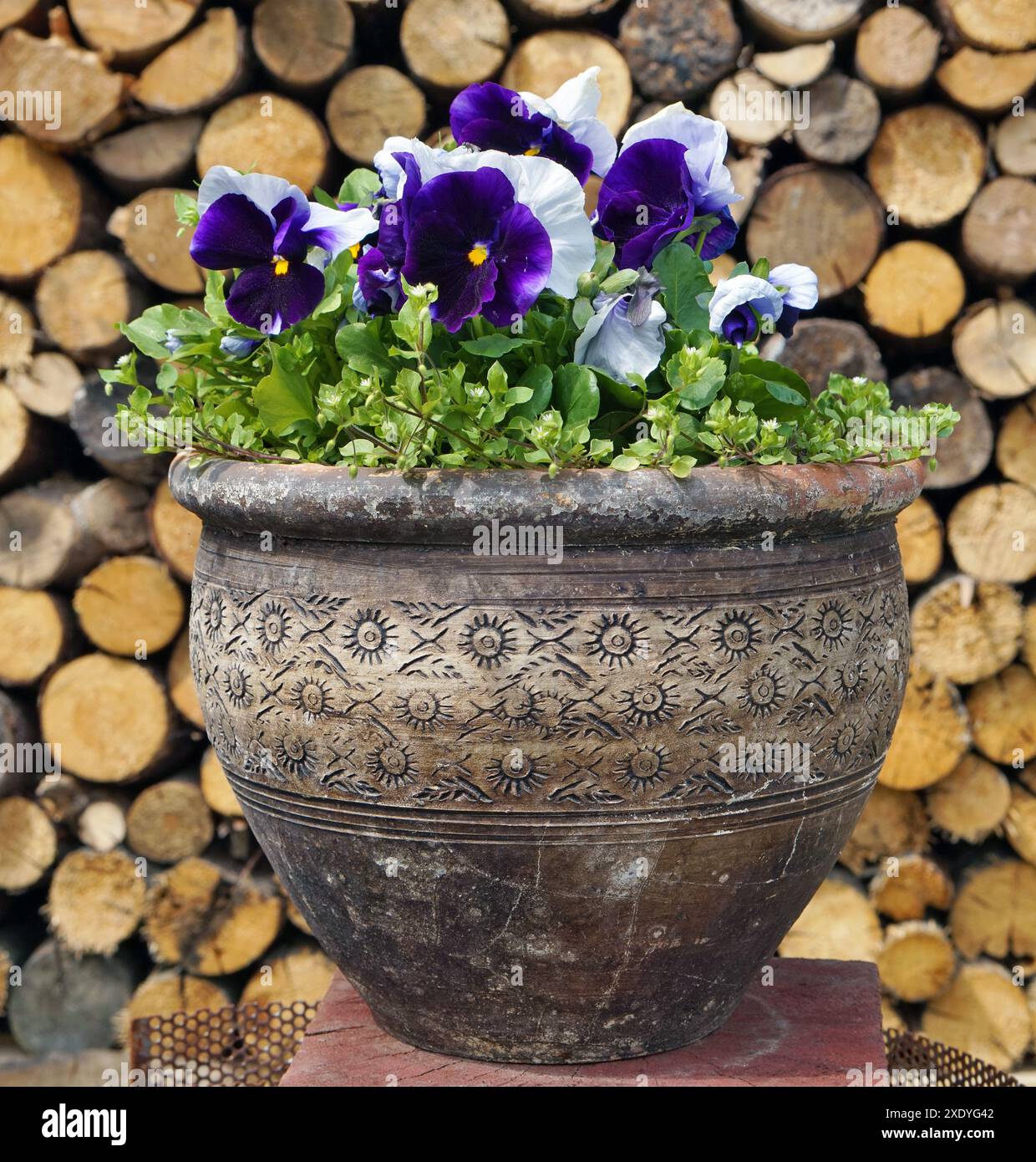 Freshness claim hi-res stock photography and images - Alamy