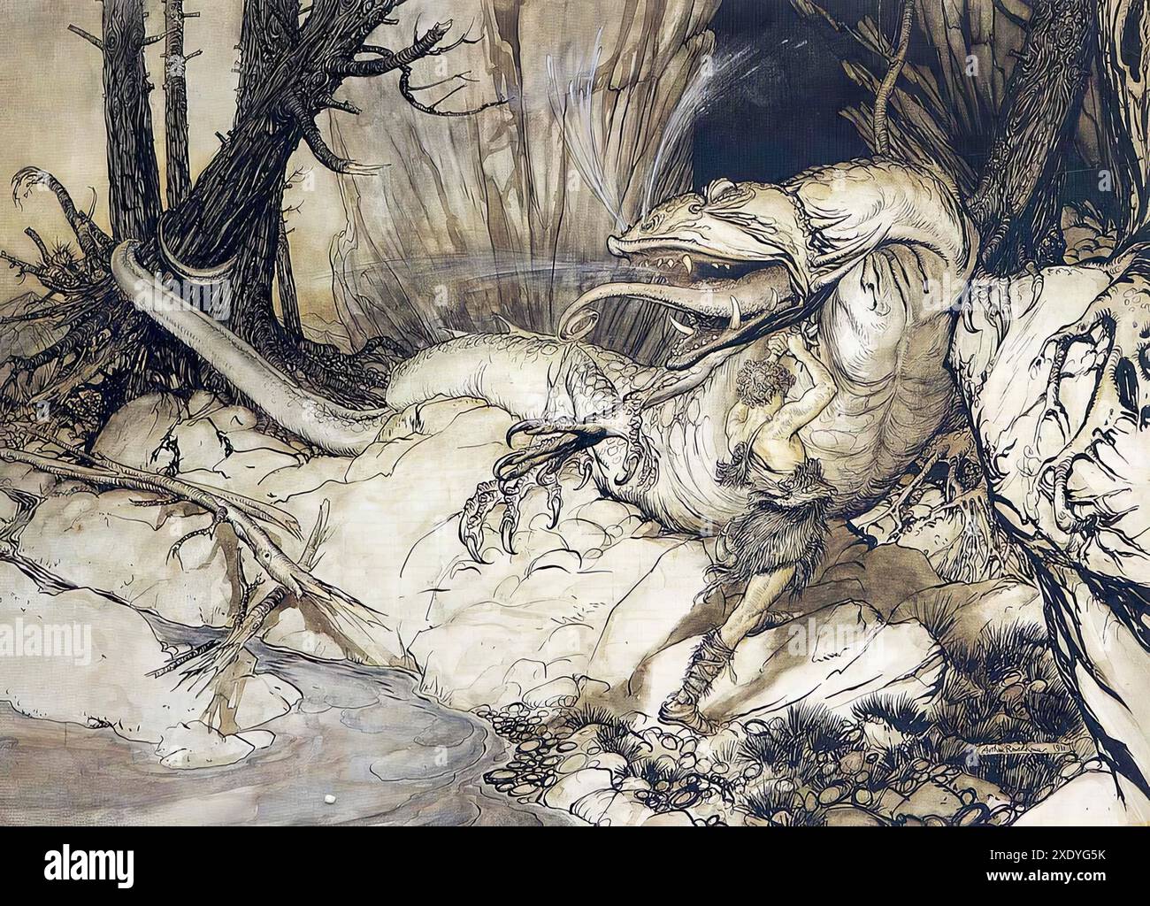 RACKHAM Arthur (1867-1939) - Siegfried kills Fafnir from Siegfried and ...