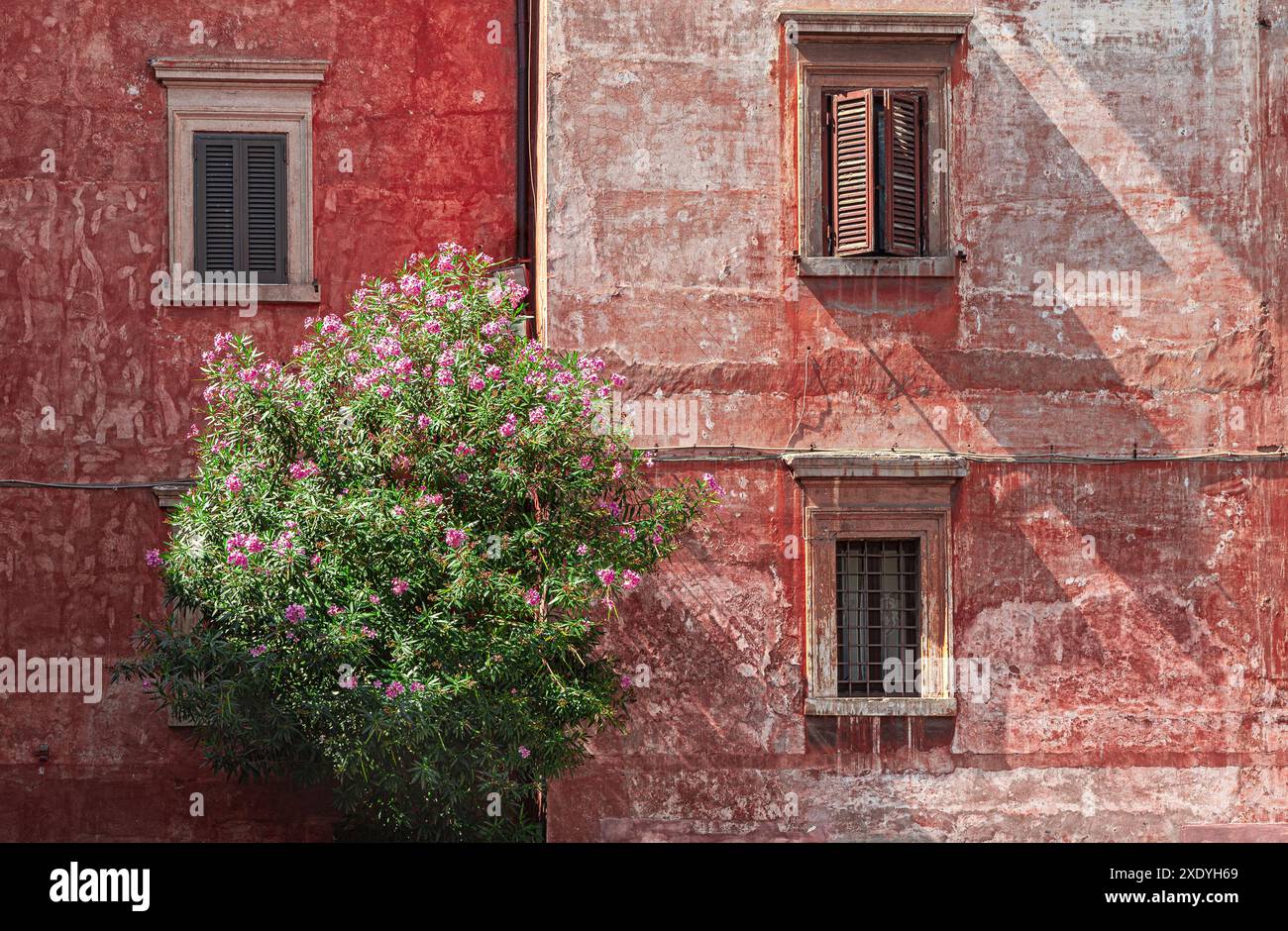 Vintage wall with old weathered render in Rome, Italy Stock Photo - Alamy