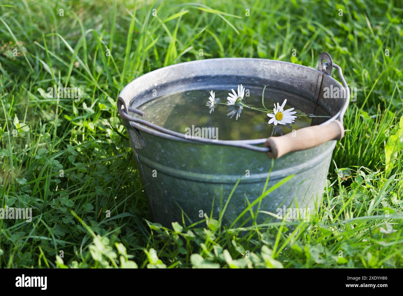 Bucket rain water outdoors hi-res stock photography and images - Alamy