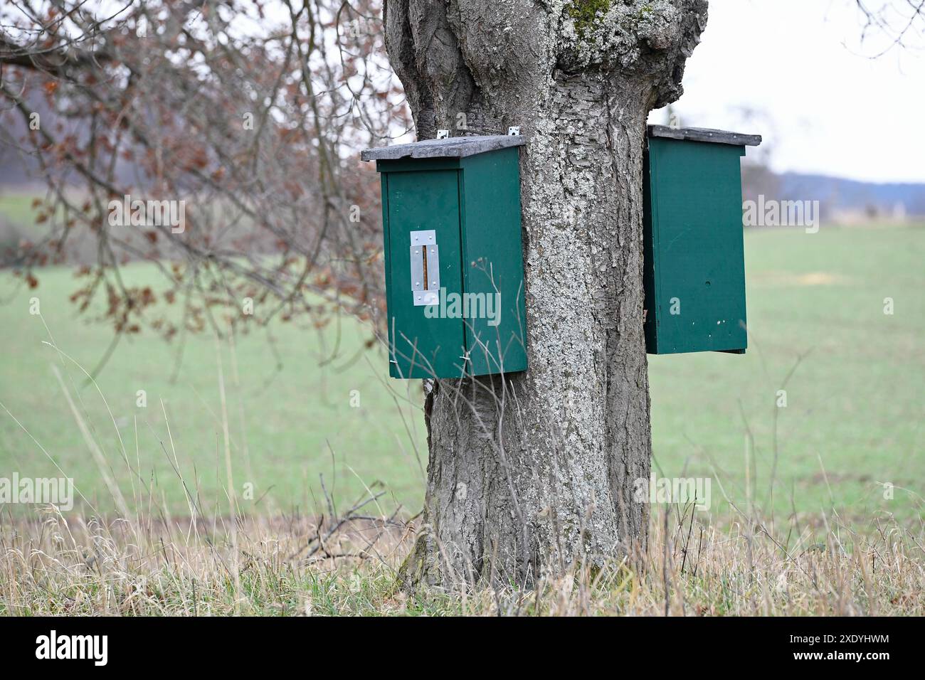 Of nest boxes hi-res stock photography and images - Alamy