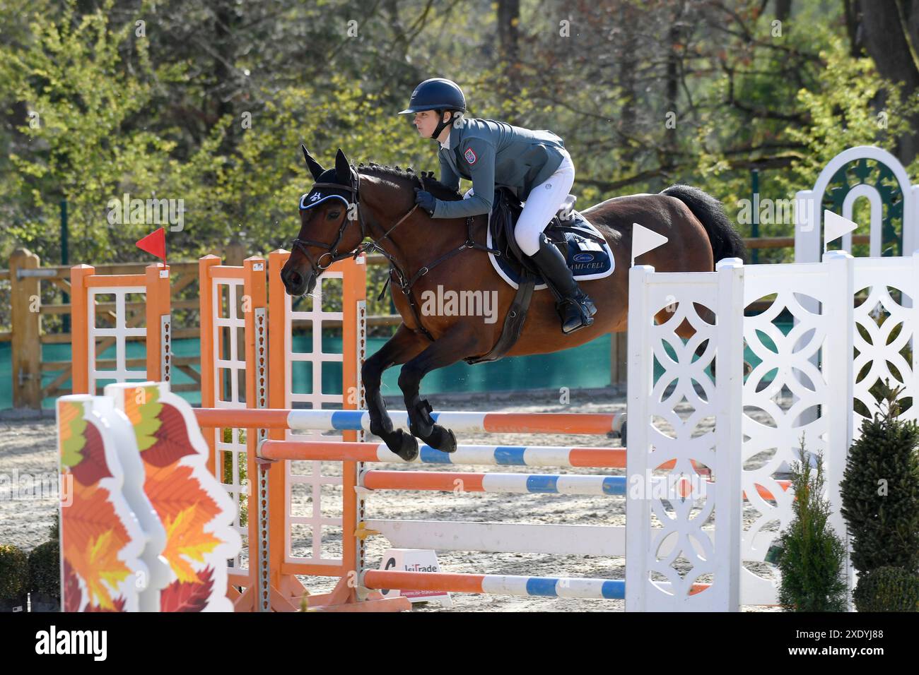 Southern German Pony Championships Pony Jumping Competition ...