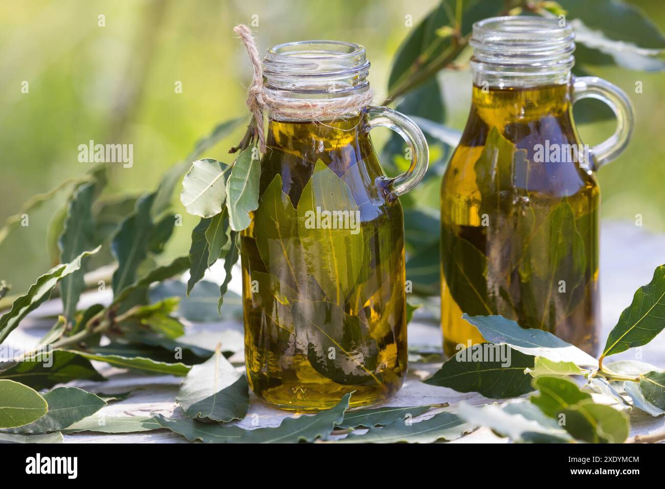 Le laurier sauce hi-res stock photography and images - Alamy