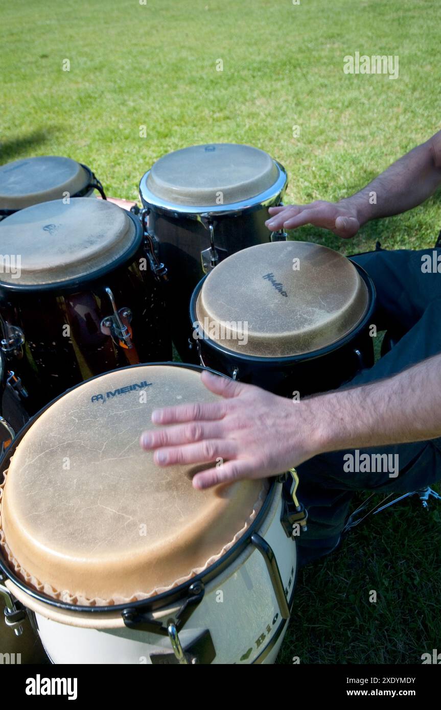 Musician Playing a Bongo Drum Stock Photo - Alamy