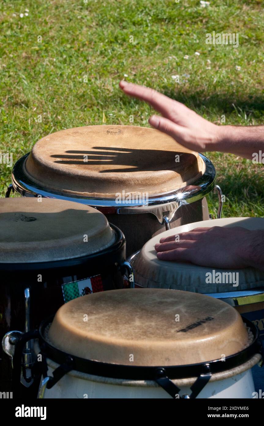 Musician Playing a Bongo Drum Stock Photo - Alamy
