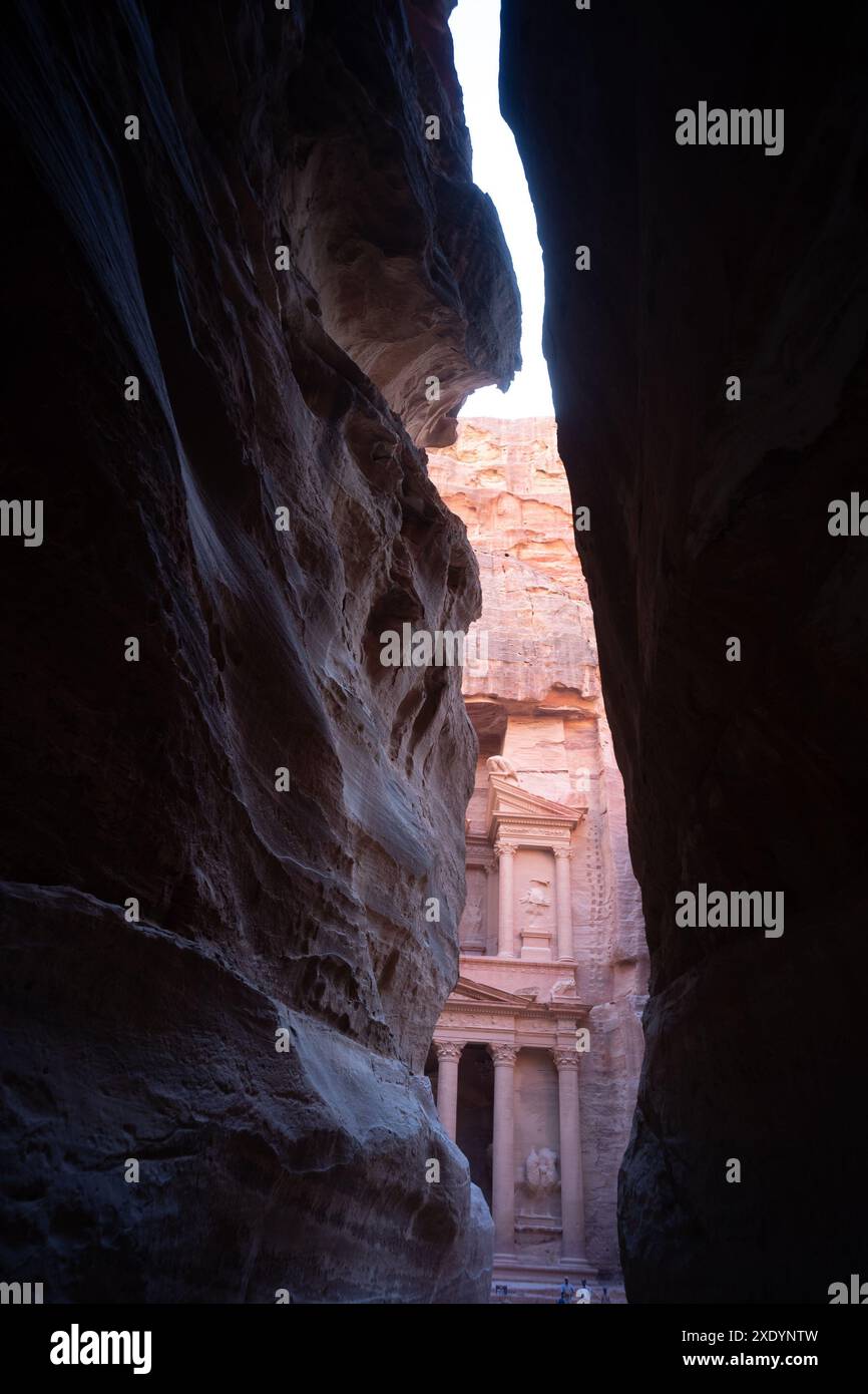 Mammal architecture hi-res stock photography and images - Alamy