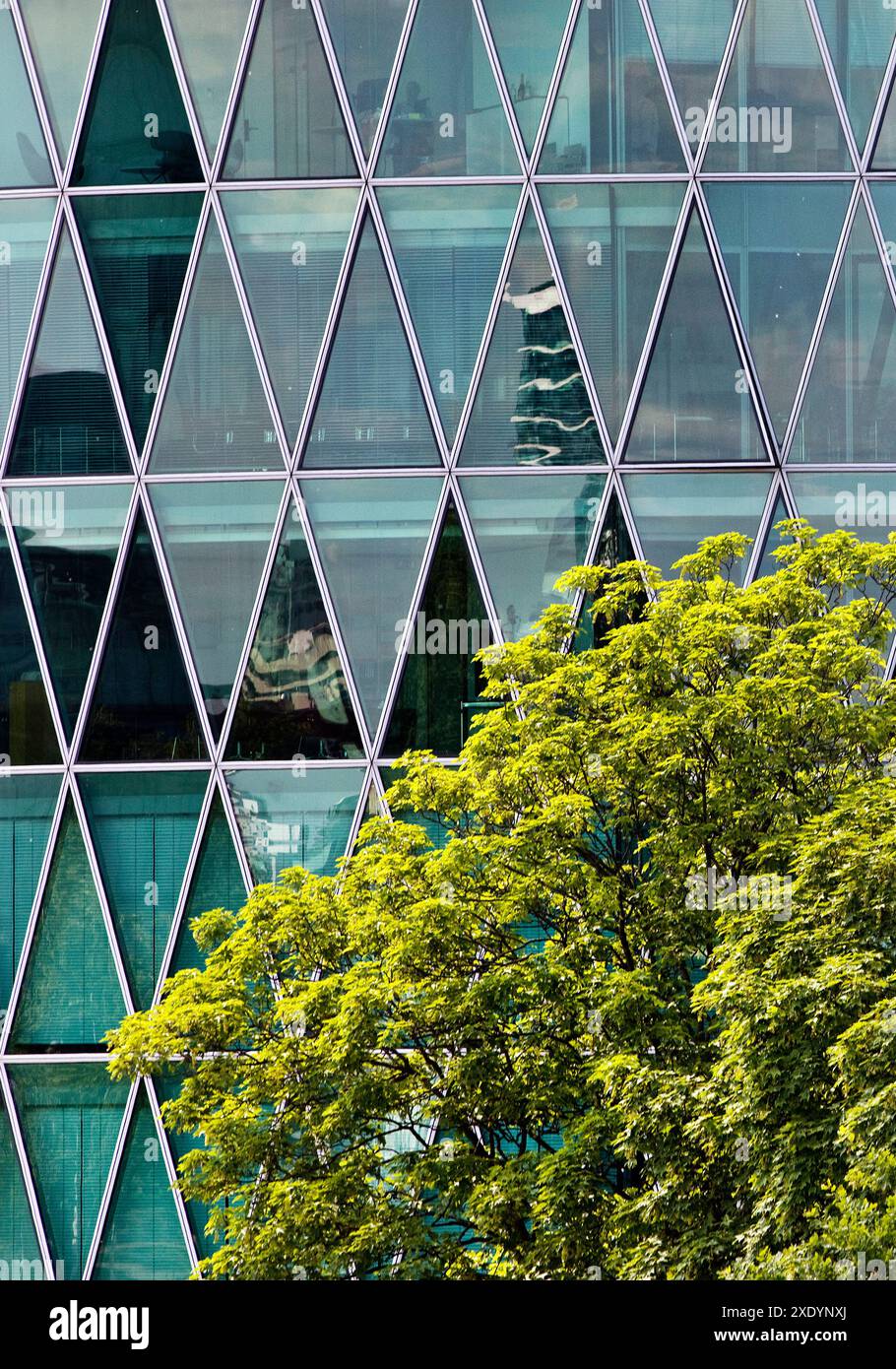 Green tree in front of Westhafen Tower with triangular facade structure ...