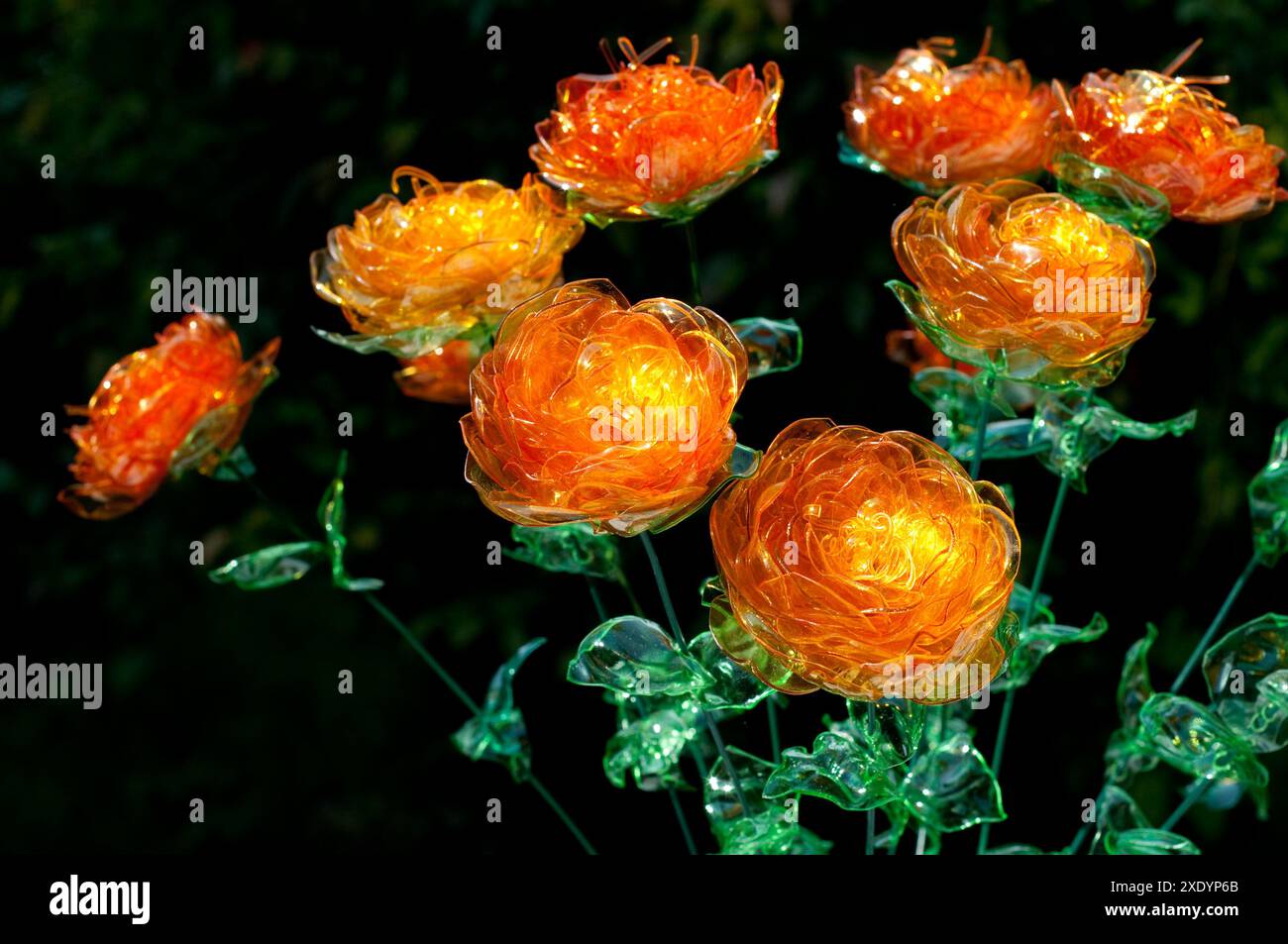 Platic bottles hi-res stock photography and images - Alamy