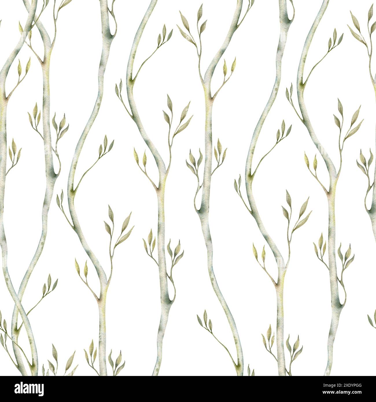 Gum leaves abstract pattern hi-res stock photography and images - Alamy