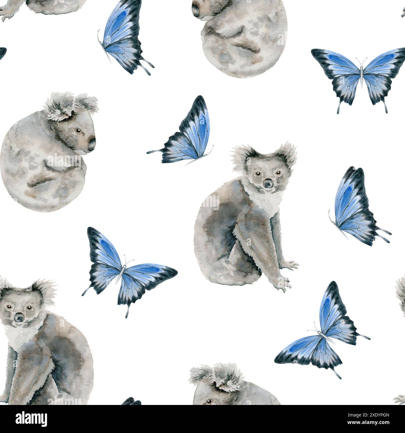 Cute koala bears with blue butterflies seamless pattern. Endemic ...