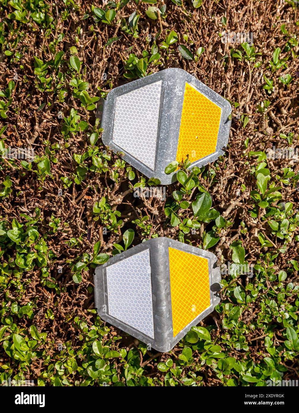 Close up of reflector on live fence Stock Photo - Alamy
