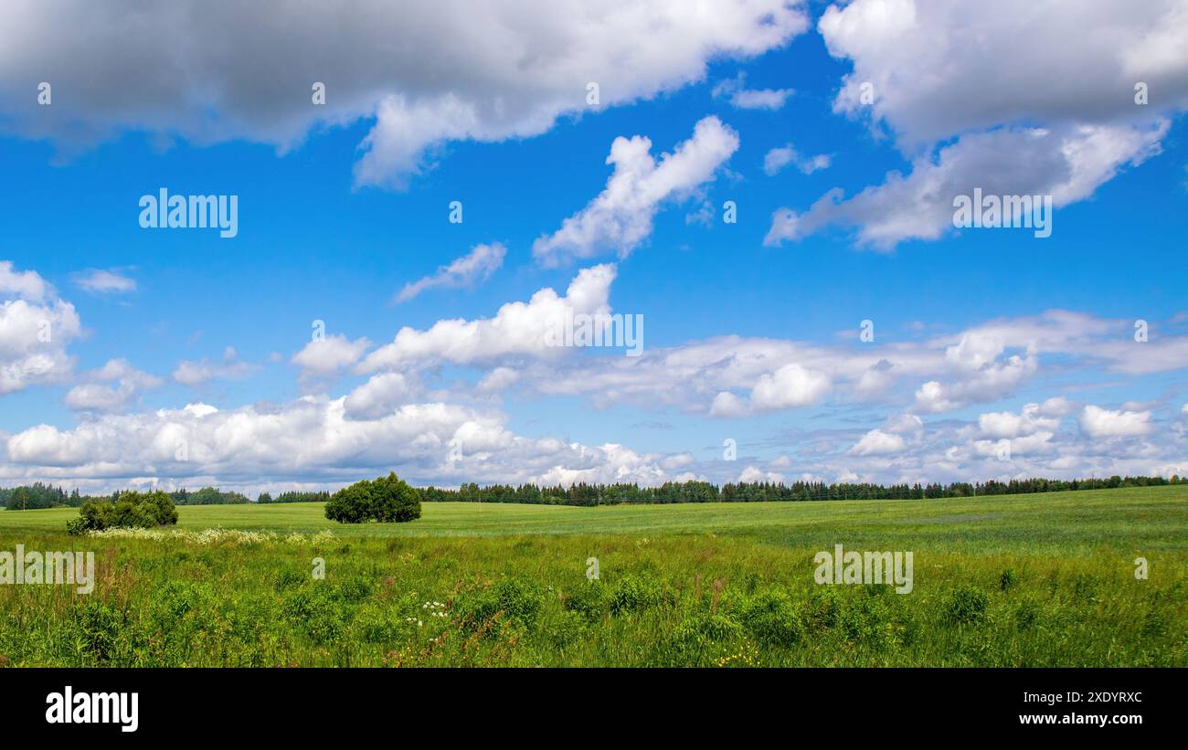 Cumulus clouds over prairie hi-res stock photography and images - Alamy