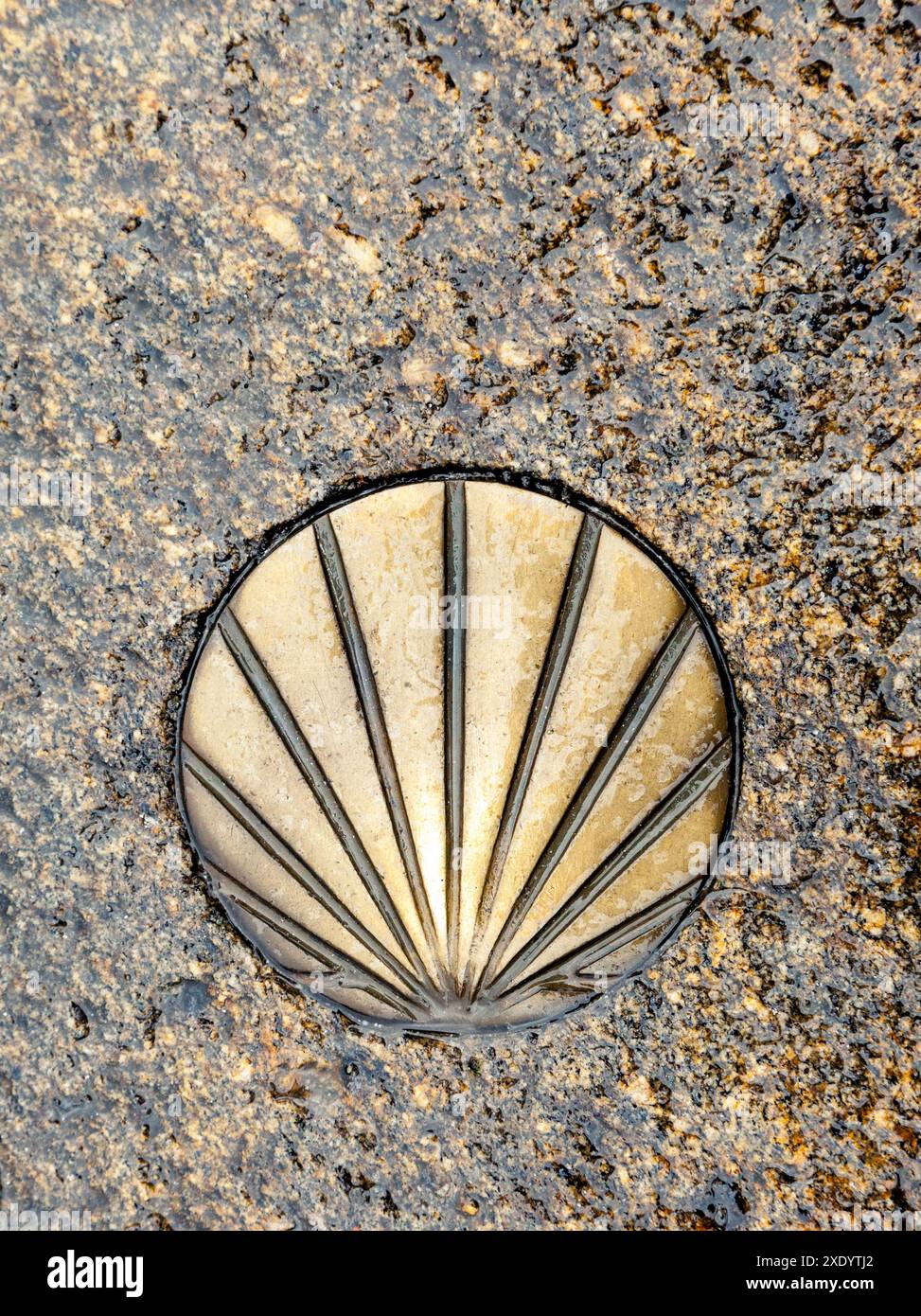 Santiago's shell on the pavement Stock Photo - Alamy