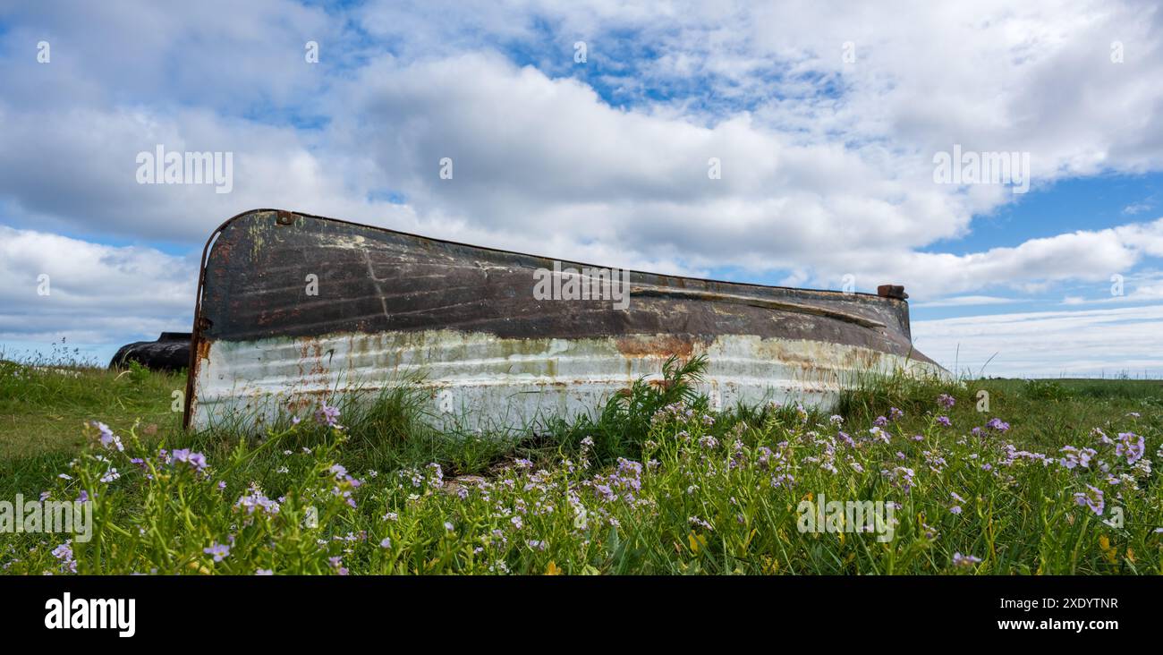 Upturned rowing boat resting on a sea of wild flowers against a sunny ...