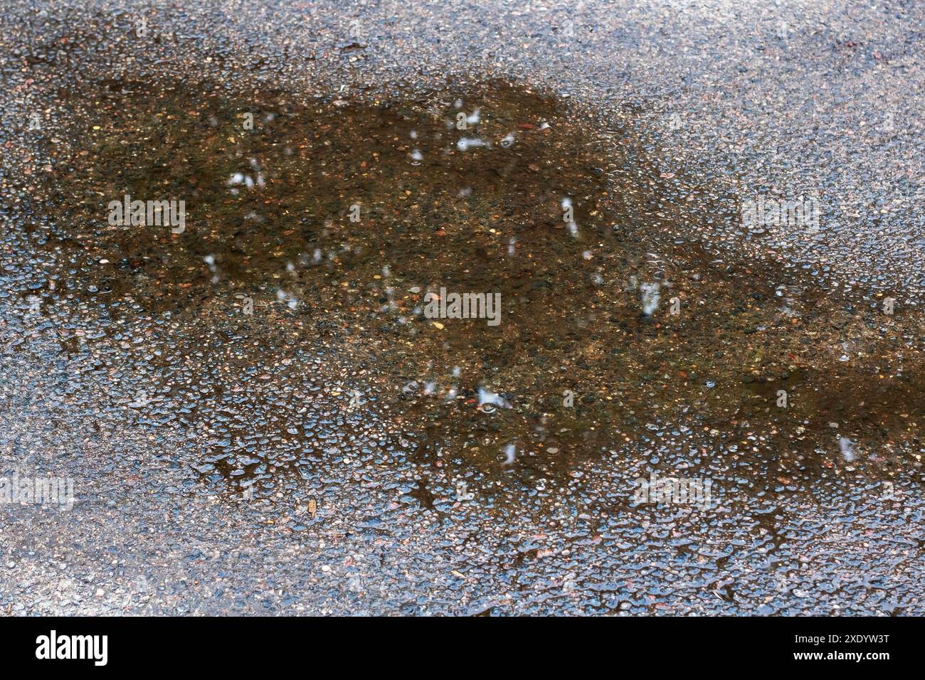 A close examination of a water pool on the grounds surface, featuring ...