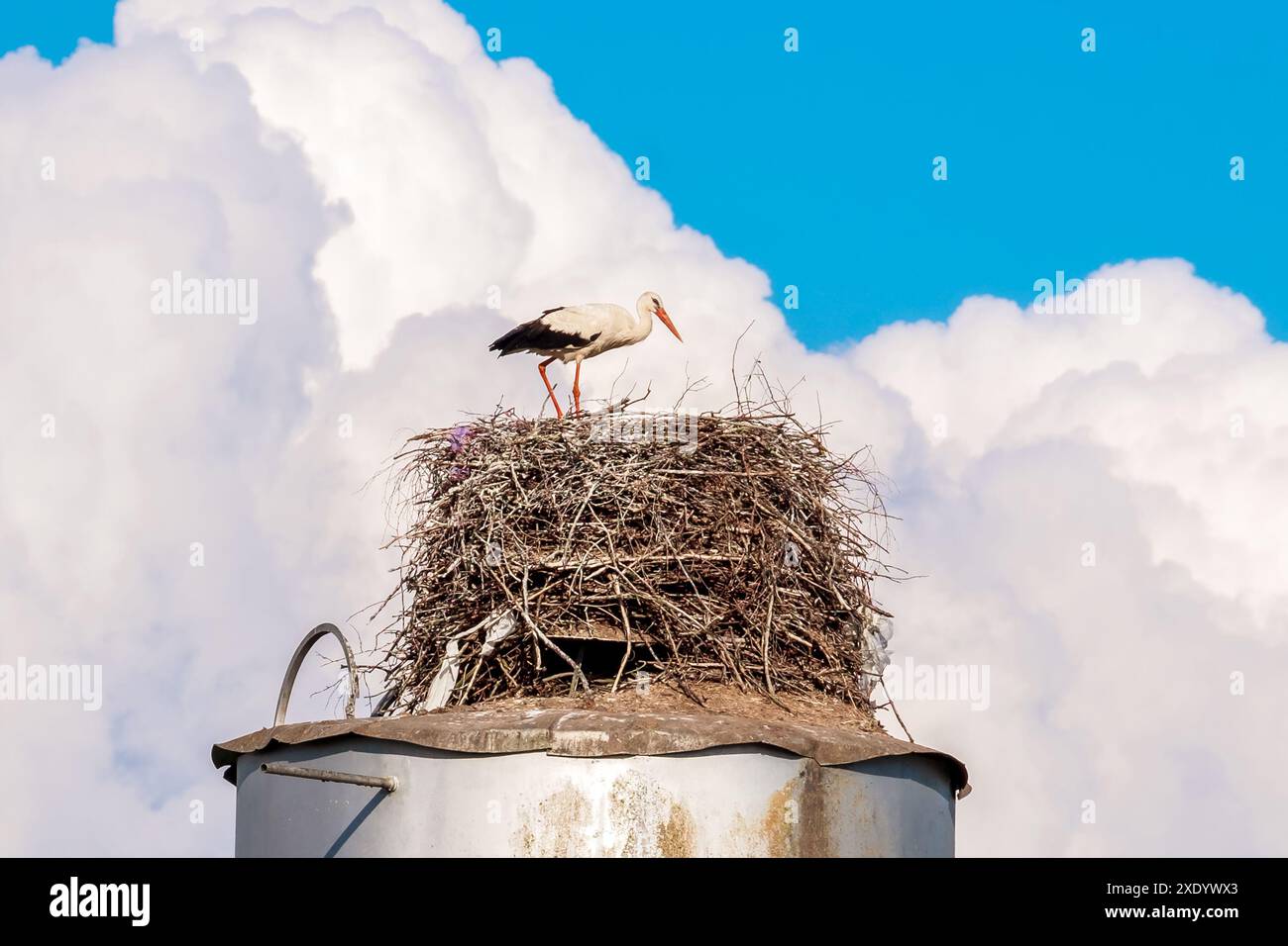 Stork in nest on roof of water tower against blue sky and white clouds ...