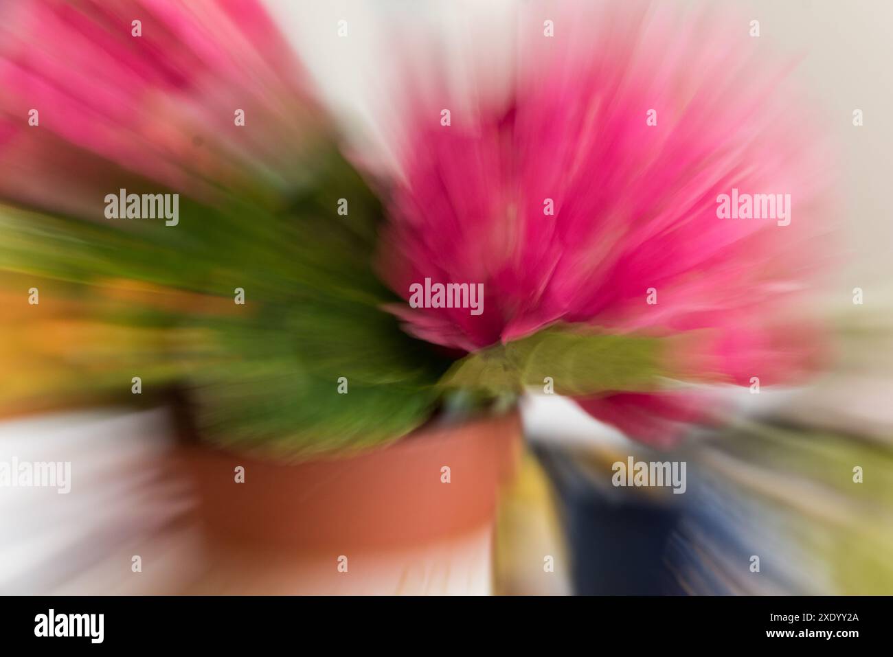 Radial wipe effect and movement - zoom and blur Stock Photo - Alamy