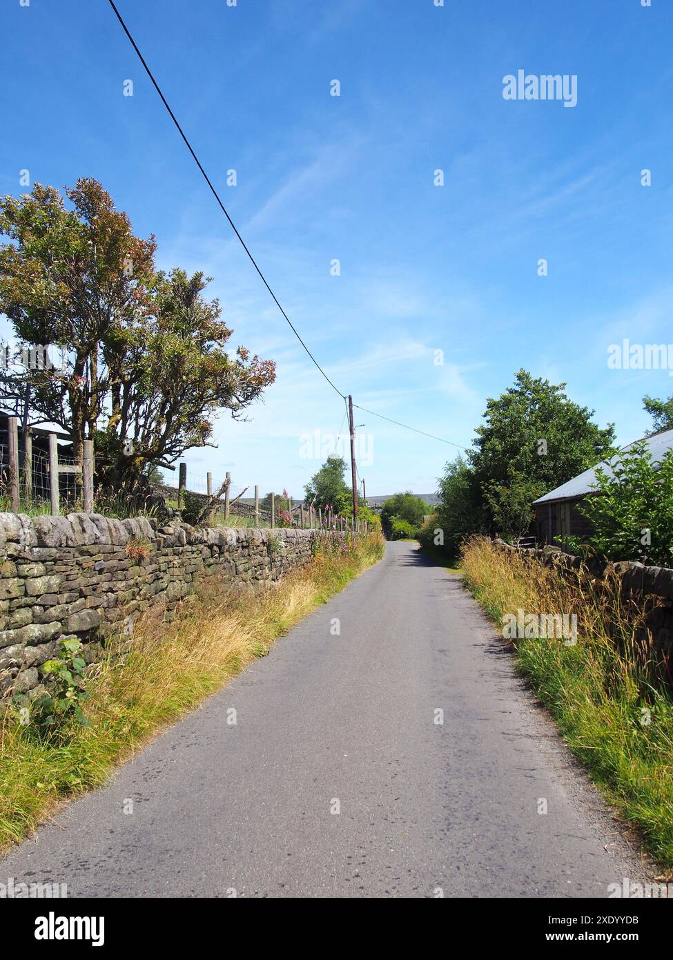 Perspective view along a narrow country lane with a stone wall and farm ...